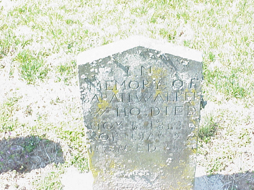 IN SEARCH OF.......HISTORY AND FAMILY LORE OF OUR WALKER FAMILY